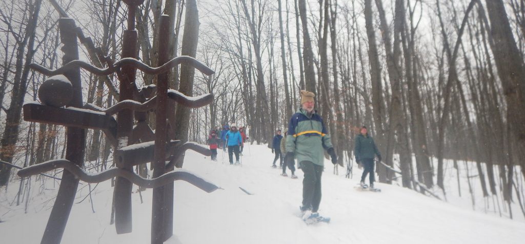 Snowshoe Hiking - Michigan Legacy Art Park
